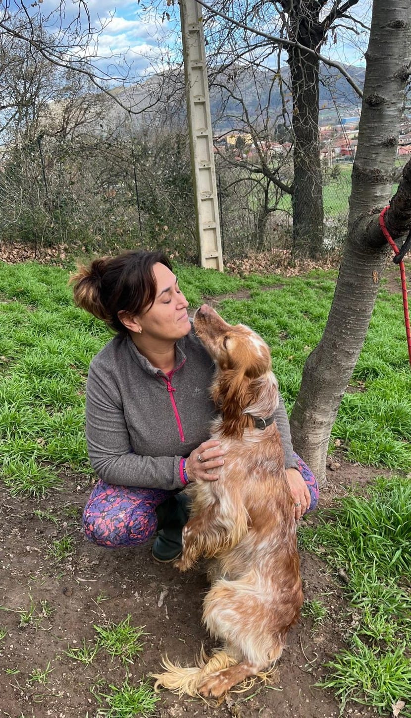 Tito - The Setter & Pointer Project